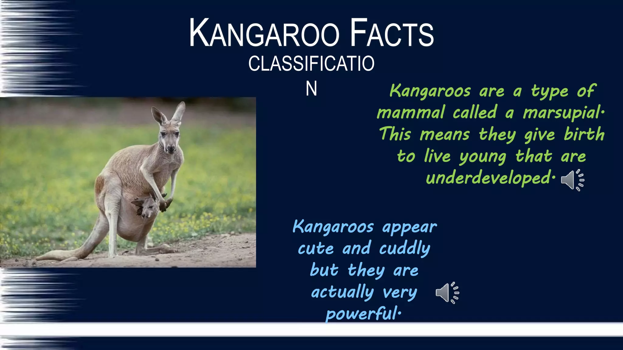 Kangaroo Research Information.pptx