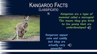 Kangaroo Research Information.pptx