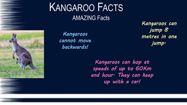Kangaroo Research Information.pptx