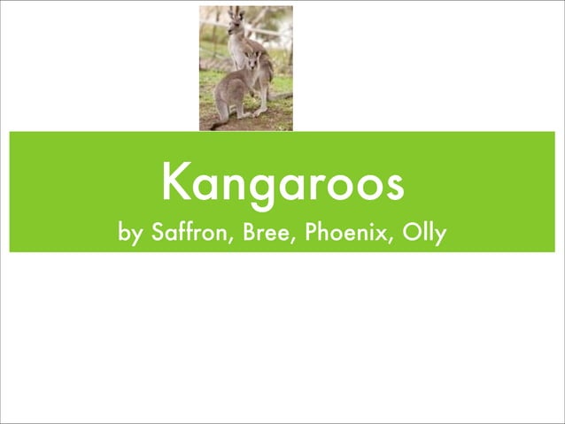 Kangaroos | PDF