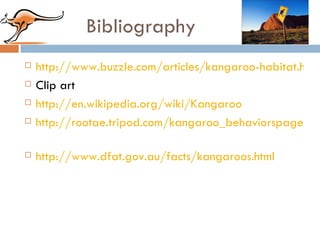 Kangaroos | PPT