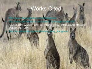 Kangaroos, Ryan Scherer | PPT