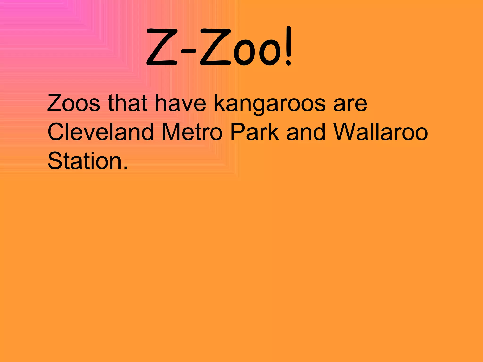Kangaroos | PPT