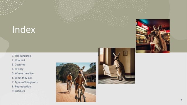 Kangaroos by manoli la potra llobaer.pptx