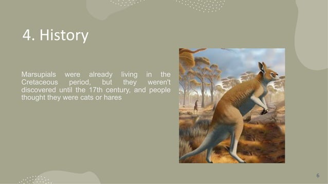 Kangaroos by manoli la potra llobaer.pptx