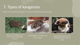 Kangaroos by manoli la potra llobaer.pptx