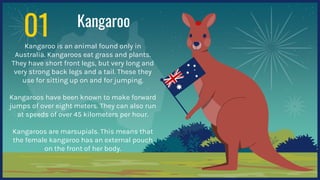 Kangaroo tugas bahasa inggris.pptx