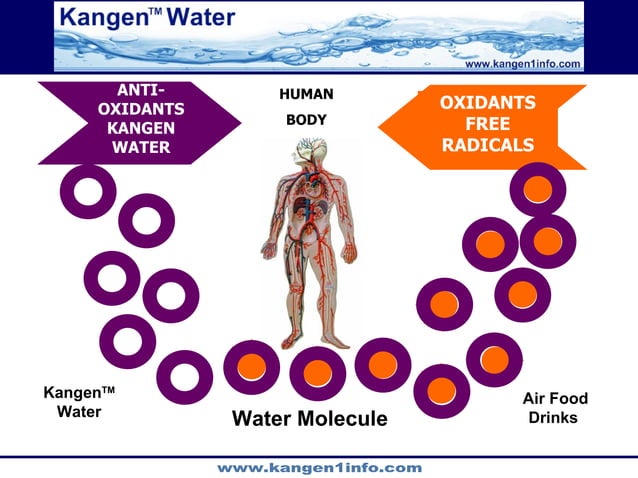 Kangen Synergy Worldwide Presentation Windowsversion | PPT
