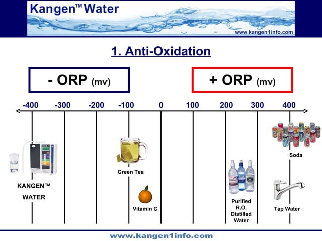 Kangen Synergy Worldwide Presentation Windowsversion | PPT