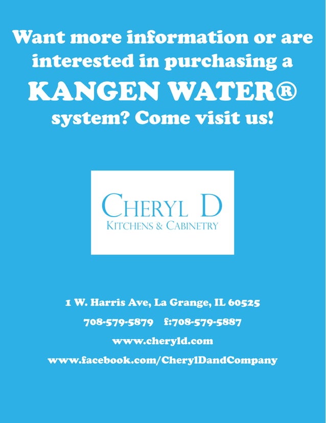 Kangen Water Guide | PDF