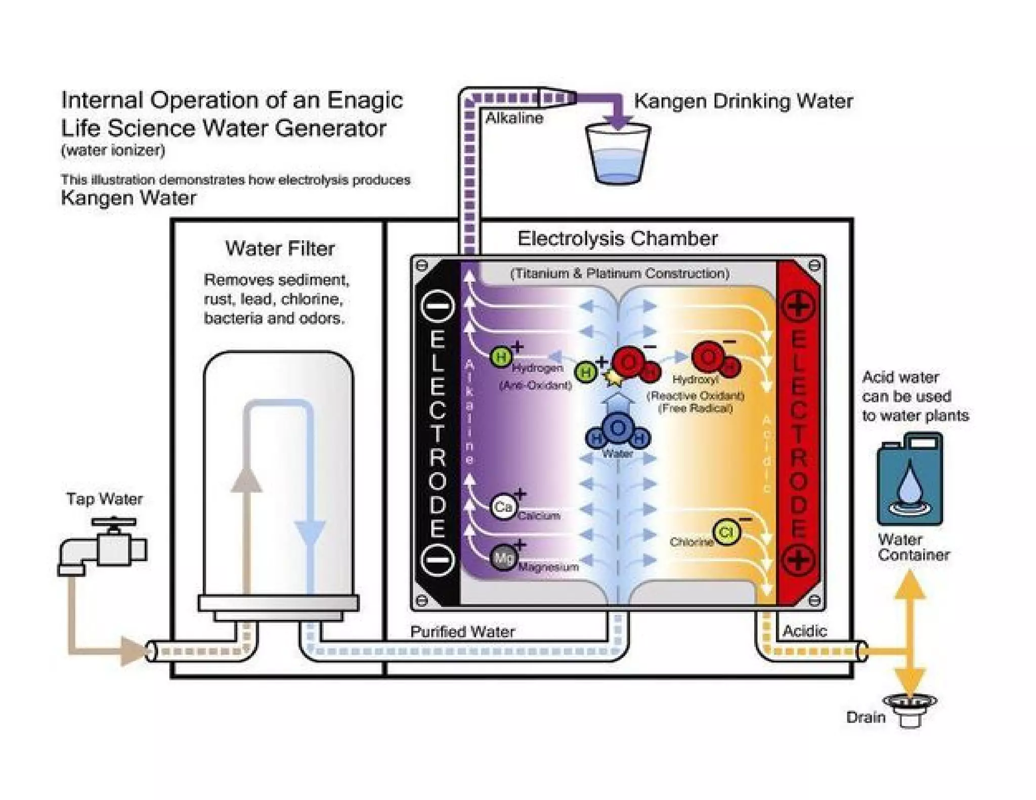 Kangen water demo | PDF