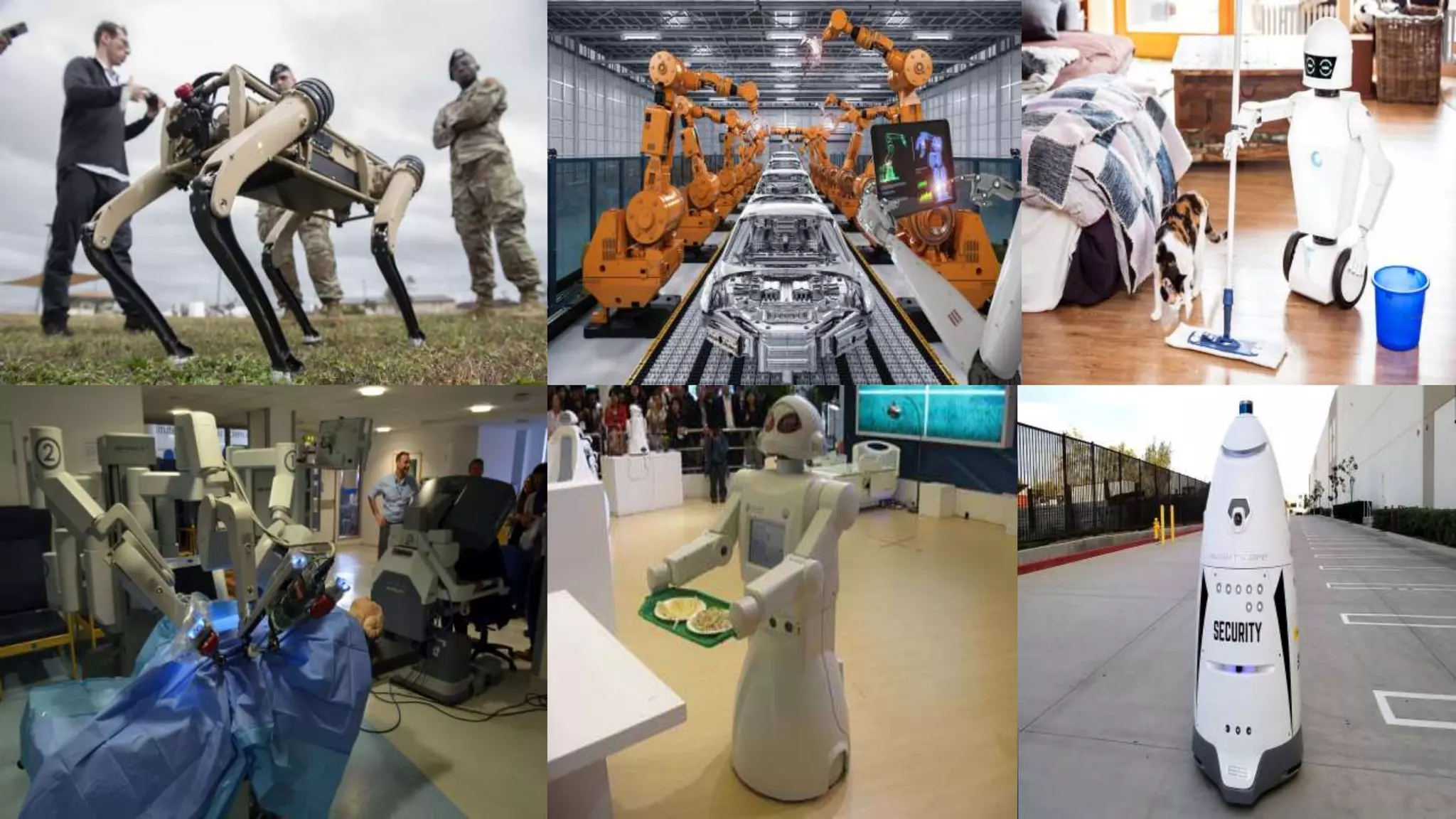 ARTIFICIAL INTELLIGENCE & ROBOTICS | PPTX