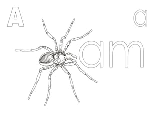 Kanik xook maya | PPT