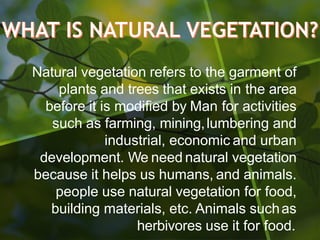 Vegetation Definition