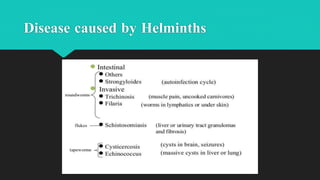 Kanishk , protozoa ppt work, | PPTX