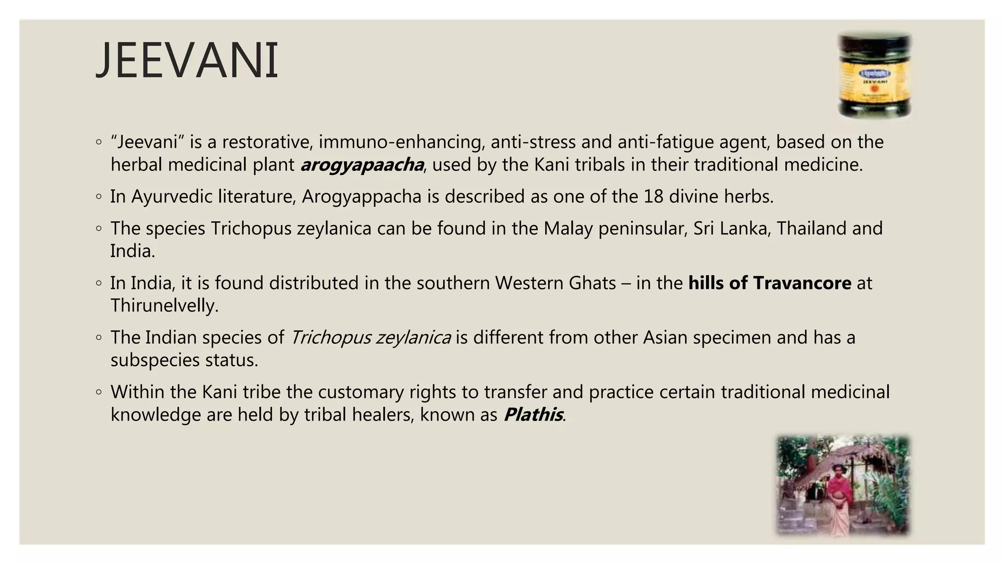 Kani tribe: The Jivani case | PPTX