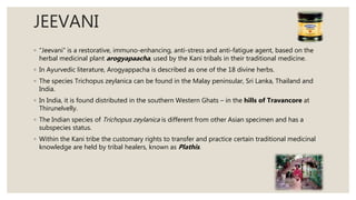 Kani tribe: The Jivani case | PPTX