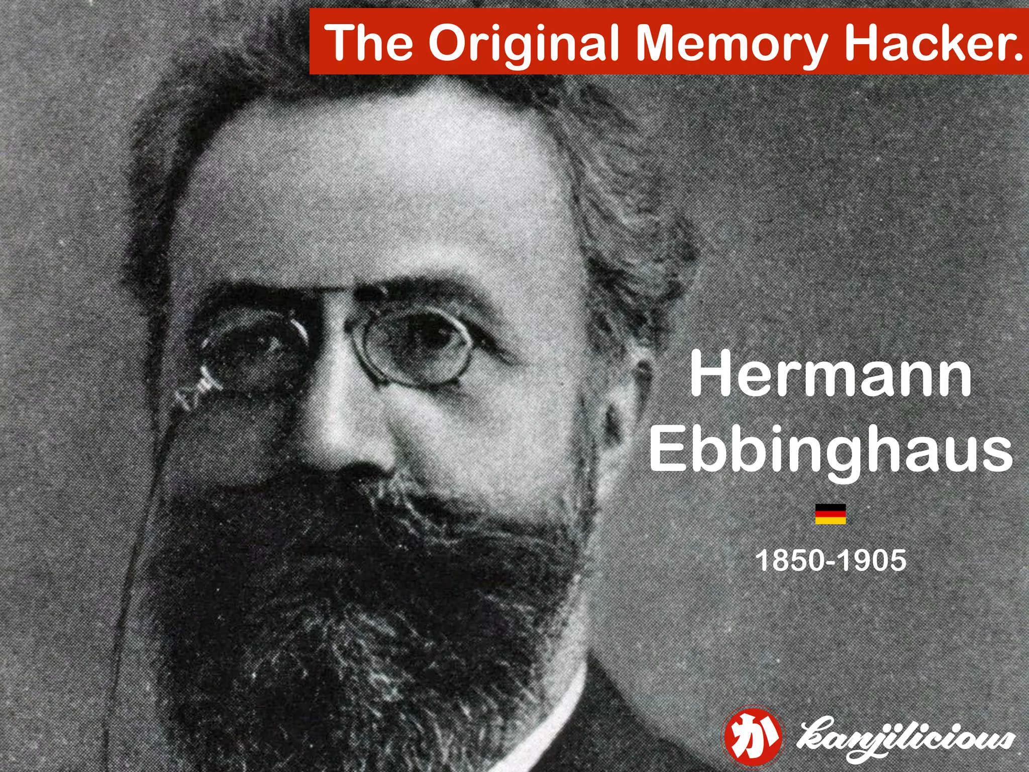 The Lions of Memory Hacking - Kanjilicious | PDF