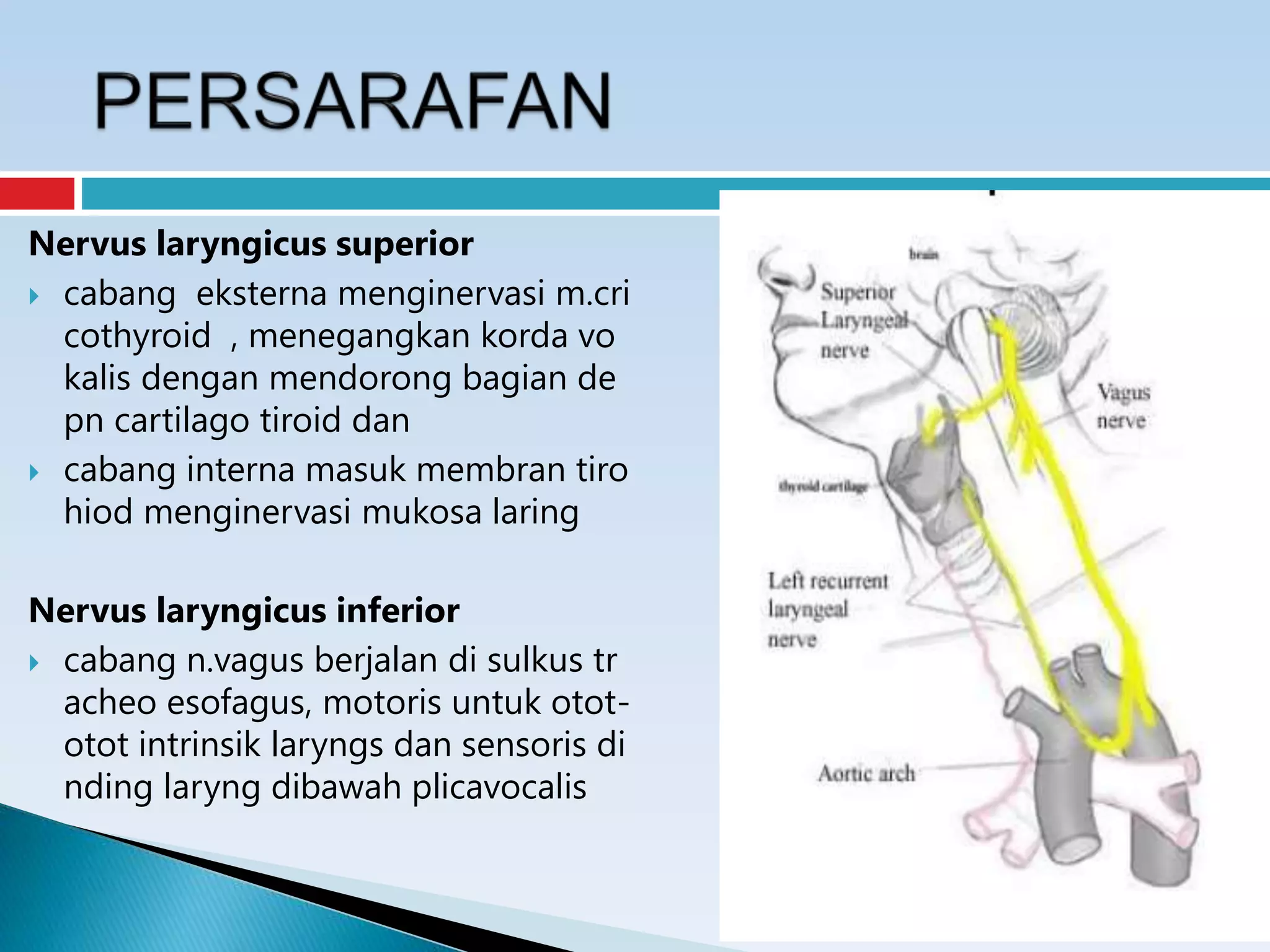 KANKER KELENJAR TIROID ITO.ppt