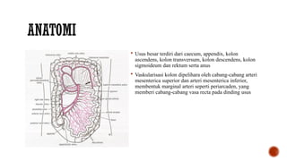 Kanker Kolorektal edukasi dan penyakit keganasan rektum | PPTX