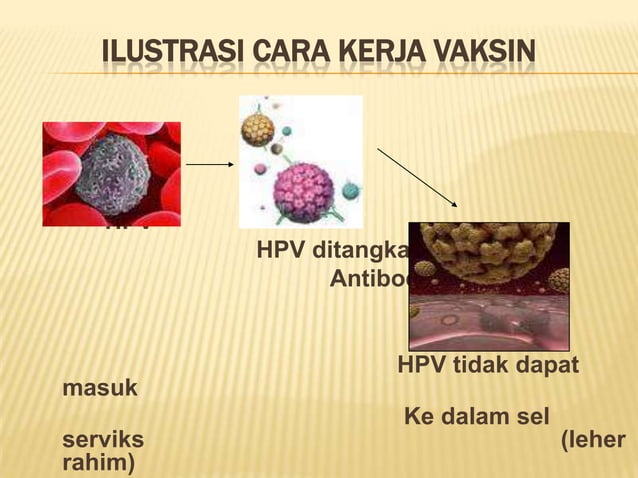 Kanker Leher Rahim dan Pencegahannya | PPTX