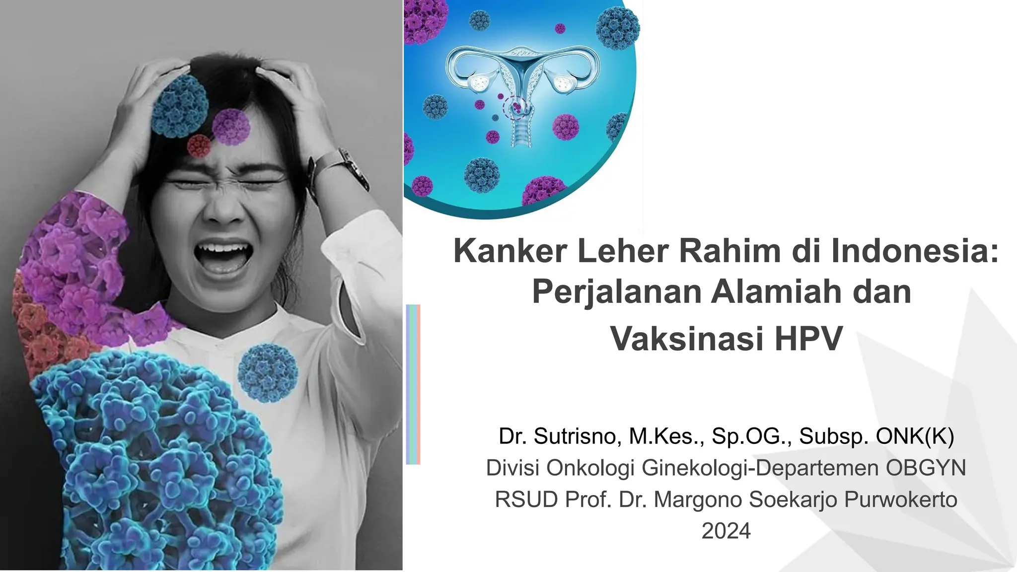 Kanker Leher Rahim di Indonesia Perjalanan Alamiah dan Vaksinasi HPV DR ...