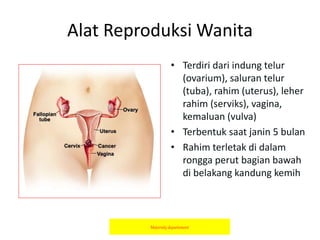 Konsep tata laksana Kanker Leher Rahim Papsmear & IVA.ppt