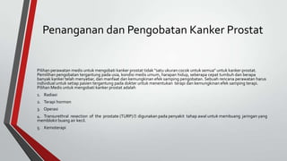 Kanker prostat | PPTX