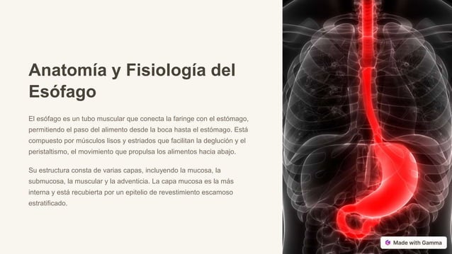 Introduccion al esofagograma y sus características | PPTX