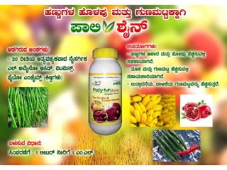 KANNADA PRODUCT INFORMATION.pptx