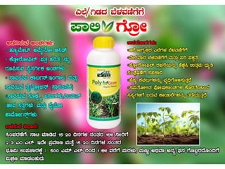 KANNADA PRODUCT INFORMATION.pptx