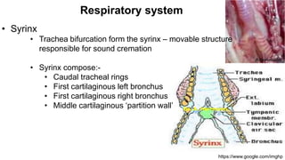Dr. Kannan Ganapathy Speaker at Knowledge Day 2015 | PPTX