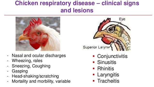 Dr. Kannan Ganapathy Speaker at Knowledge Day 2015