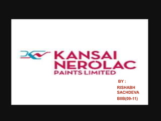 Nerolac Paints Logo