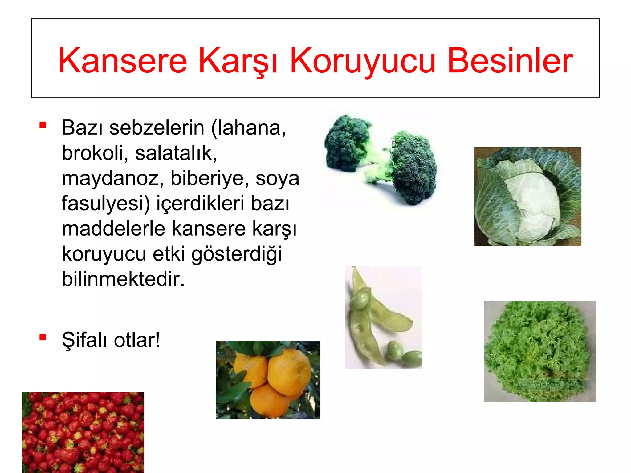 Kanser ve Kanserden Korunma Yollari | PPT