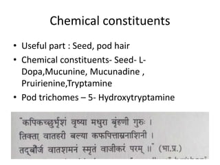 Kantakari , karkkatashringi, kapikachhu , karpura | PPTX