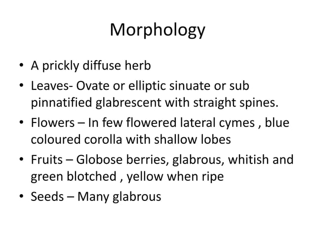 Kantakari , karkkatashringi, kapikachhu , karpura | PPTX