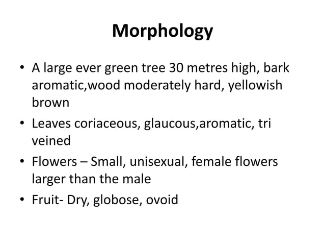 Kantakari , karkkatashringi, kapikachhu , karpura | PPTX