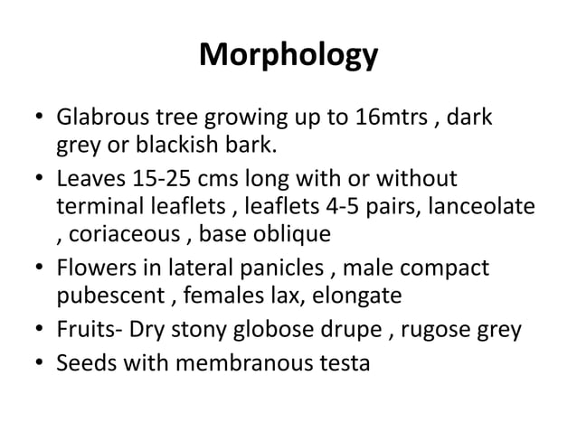 Kantakari , karkkatashringi, kapikachhu , karpura | PPTX