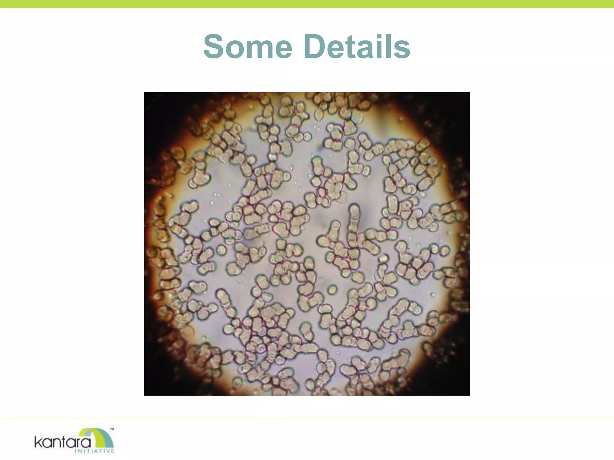 Trust Frameworks Explained | PPTX