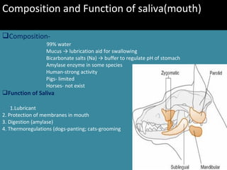 Digestion in monogastric animal and hormonal control | PPT