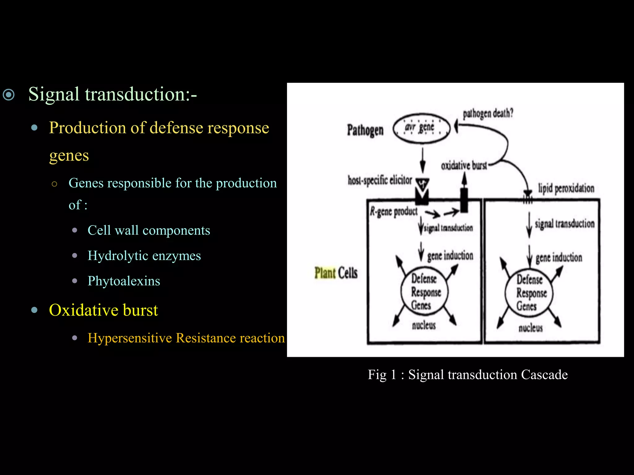arabidopsis thaliana a model plant for studying plant pathogen ...