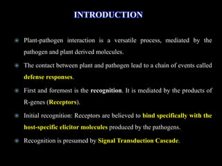 arabidopsis thaliana a model plant for studying plant pathogen ...