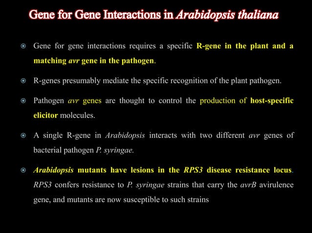 arabidopsis thaliana a model plant for studying plant pathogen ...