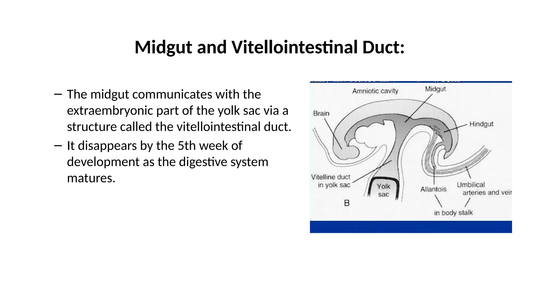 embryology of malformations with clinical references | PPTX