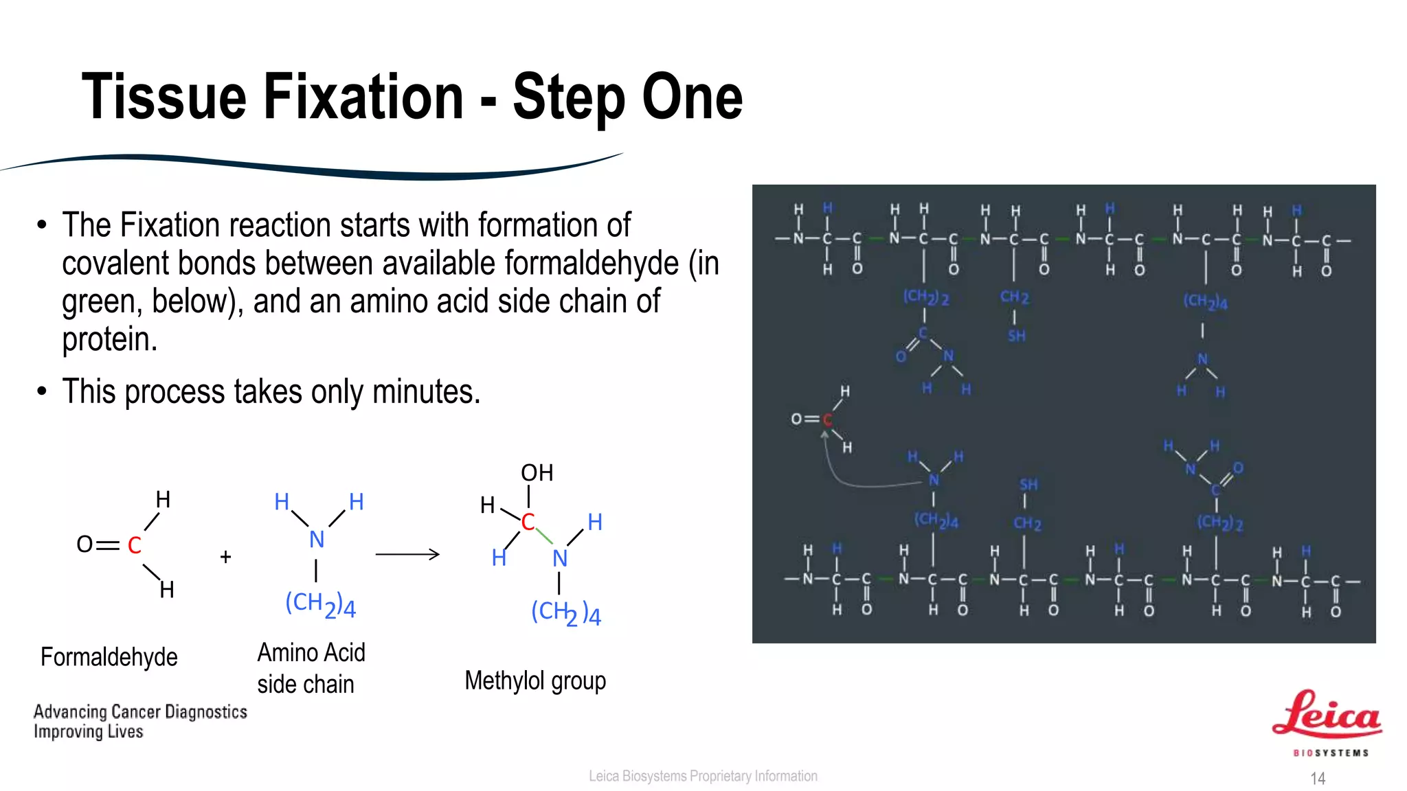 Kao_Introduction_to_Proper_Fixation_FINAL_2020207.pptx