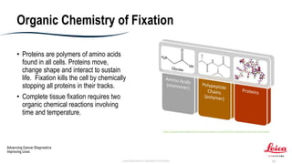 Kao_Introduction_to_Proper_Fixation_FINAL_2020207.pptx