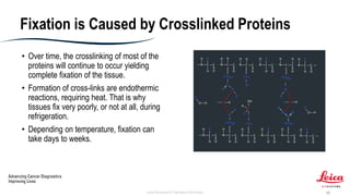 Kao_Introduction_to_Proper_Fixation_FINAL_2020207.pptx