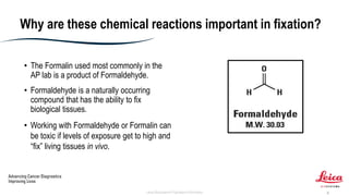 Kao_Introduction_to_Proper_Fixation_FINAL_2020207.pptx
