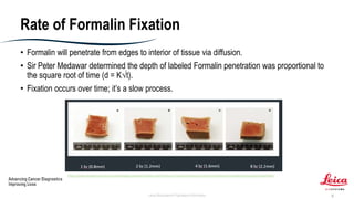 Kao_Introduction_to_Proper_Fixation_FINAL_2020207.pptx